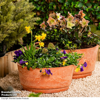 Caesar Bowls Marble Terracotta Set of 2