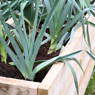 Caledonian Wooden Trough Raised Bed 45 x 180cm
