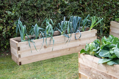 Caledonian Wooden Trough Raised Bed 45 x 180cm