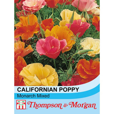 Californian Poppy Mixed 1 Seed Packet (600 Seeds) | DIY at B&Q