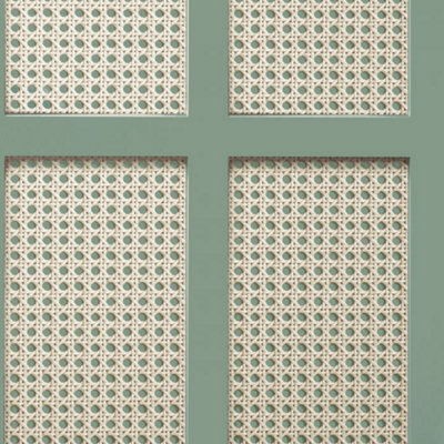 Buy Cane Panel Wallpaper Sage Fine Decor FD42999 at B&Q