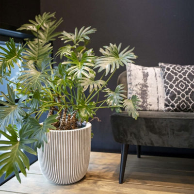 Capi Planter Groove 35x34 cm Ivory | DIY at B&Q