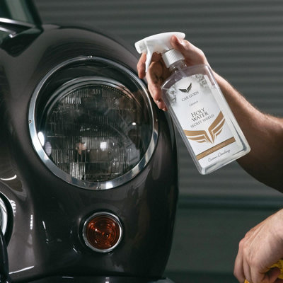 Car Gods Paint Detailing No Polish Sealant Water Shield Vehicle Cleaner ...