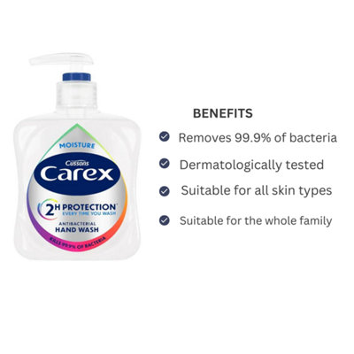 CAREX MOISTURE PLUS ANTIBACTERIAL HANDWASH 250ML X 12