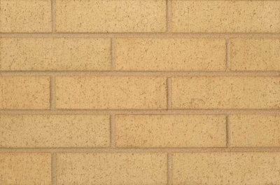 Buy Carlton Pennine Buff Wirecut Brick 65mm | DIY at B&Q