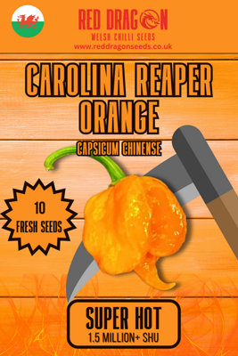 Carolina Reaper Orange Chilli Seeds - 10 Fresh Seeds