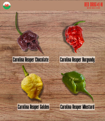 Carolina Reaper Variety Pack Chilli Seeds - 8 Colours of The Carolina ...
