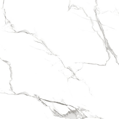 Carrara Grey Glossy - 9mm Indoor wall/floor tiles 600mm X 600mm pack of ...