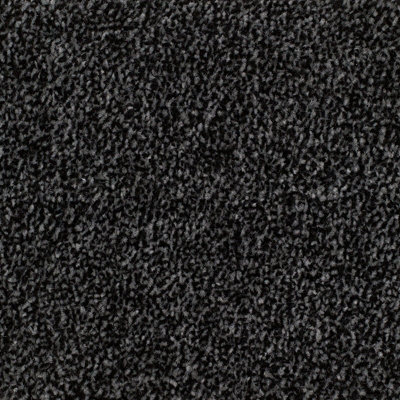Carrick Cove Bleach Cleanable Carpet (Charcoal, 5m x 4m)