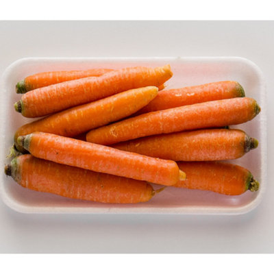 Carrot Fodder San Valerio Planting UK 1000 Seeds