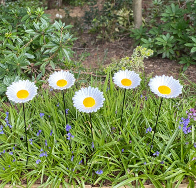 Cast Iron Daisy Bird Feeder Flower Dish (Set of 5)