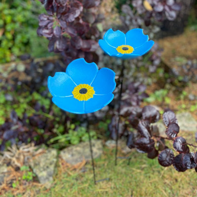 Forget Me Not Cast