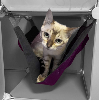 Cat activity cubby Cube play house tower S M L climbing scratcher ...