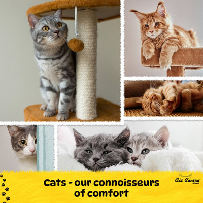 CAT CENTRE Jumbo Tray + Grey Scoop + 2 x 0.3L Smarty Bowl (Starter Kit ...