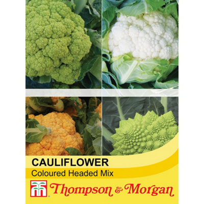 Cauliflower Coloured Headed Mix 1 Seed Packet (25 Seeds) | DIY at B&Q
