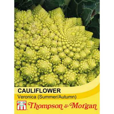 Cauliflower (Romanesco) Veronica 1 Seed Packet (20 Seeds) | DIY at B&Q