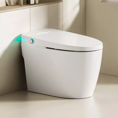 Ceramic Intelligent Smart WC Toilet: Automatic Flush, Foot Sensor ...