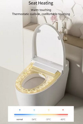 Ceramic Intelligent Smart WC Toilet: Automatic Flush, Foot Sensor ...