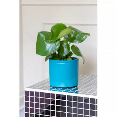 Ceramic Turquoise Indoor Plant Pot