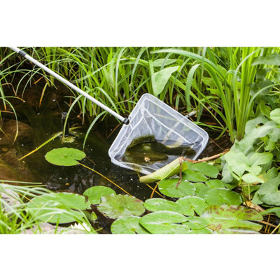 Buy Certikin Heissner Fine Mesh Pond Debris Net 35x10cm Telescopic ...
