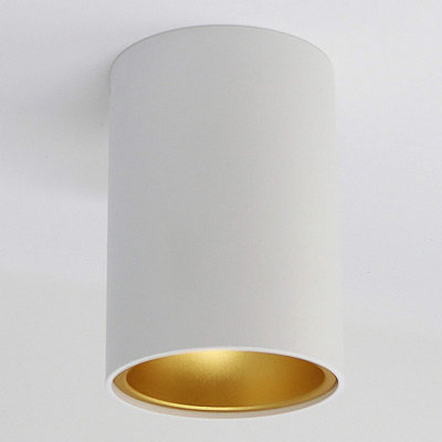 CGC SANDRA White Cylinder Ceiling Spotlight With Gold Inner Reflector ...