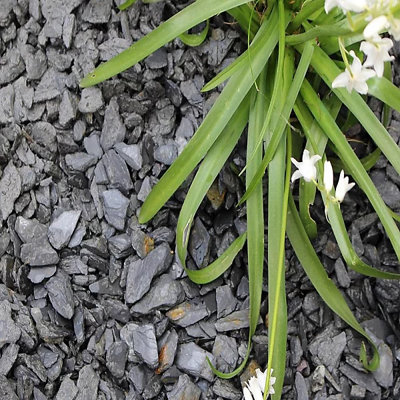 CHARLES WATSON 20MM GRAPHITE GREY SLATE CHIPPINGS DECORATIVE GARDEN ...
