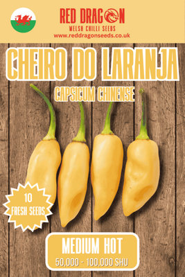 Cheiro do Laranja Chilli Seeds - 10 Fresh Seeds