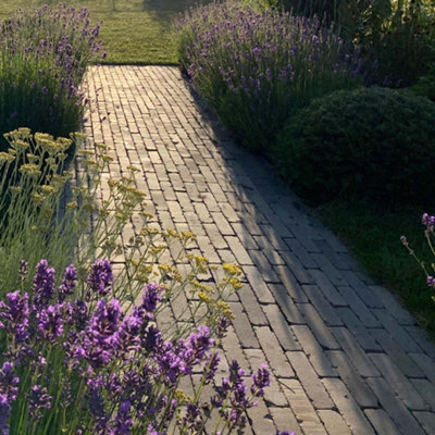 Chelmer Valley Stone Grey Clay Paving Pack of 1040 pcs (10.61m2)