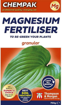 Chempak Magnesium 750g x 1 Unit | DIY at B&Q