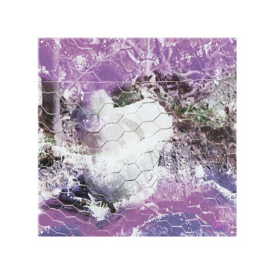 Chicken Splash Back designer style