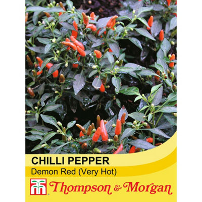 Chilli Pepper Demon Red (Very Hot) 1 Seed Packet (8 Seeds)