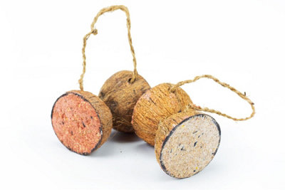 Chubby Dual Insect & Berry Half Filled Coconuts Hanging Wild Bird Food