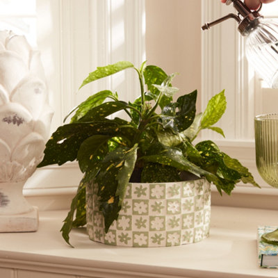 Classic Wide Green Floral Checkerboard Indoor Flower Planter H9 x Dia18cm