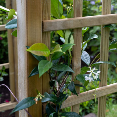 Classic Wooden Curved Top Garden Arch