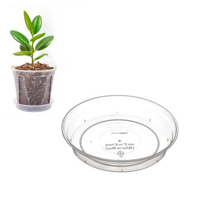 Clear Orchid Plant Pot Saucer Dish For 11cm-18cm Orchid Pots Water Tray ...