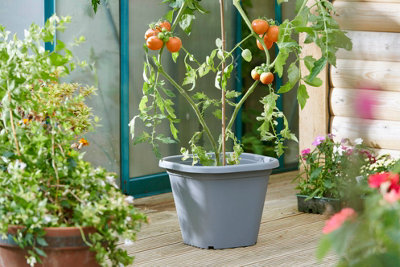 Clever Pots Tomato Planter Charcoal