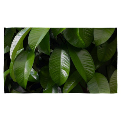 Closeup of beautiful glossy green leaves (Kitchen Towel) / Default ...