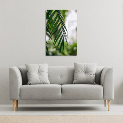 Closeup of green palm leaf (Canvas Print) / 61 x 91 x 4cm