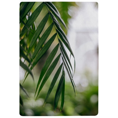 Closeup Of Green Palm Leaf Designer Special Soft Home Rug
