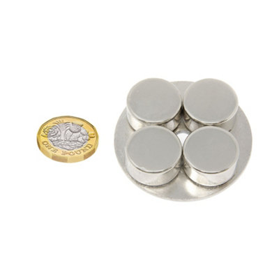 Coarse Pole Limpet Magnet for Semi-Permanent Attachments - 50mm dia x ...