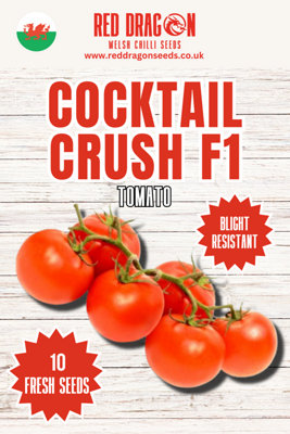 Cocktail F1 Crush Tomato Seeds - 10 Fresh Seeds