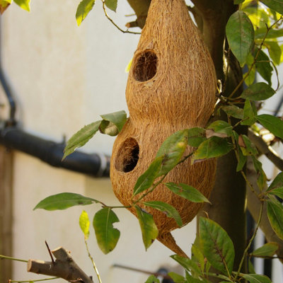 Coir Products Bird Nest Double