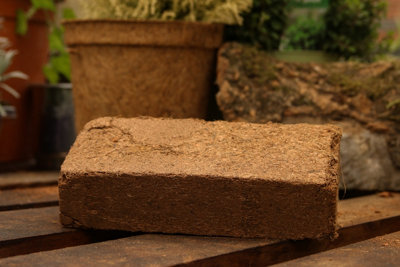 Coir Products CoirPlus With NPK 15L All Purpose Compost