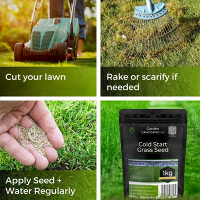Grass seed b&q store