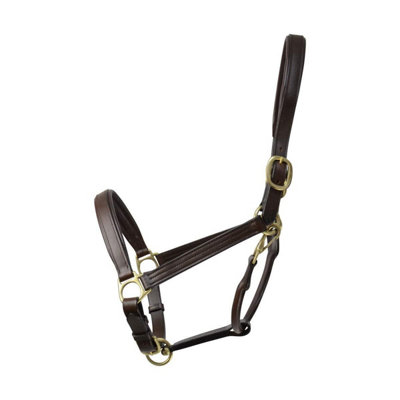 Coldstream Leather Padded Head Collar Brown (Cob)