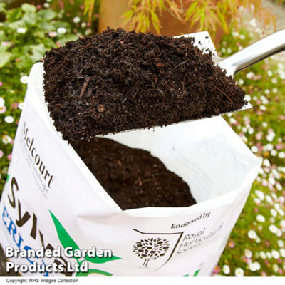 Compost Ericaceous 25 Litre Bag x 1
