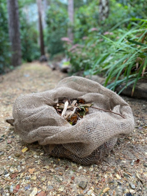 Compostable Biodegradable Leaf Sacks Bags (Pack of 10)