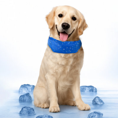 Cooling Dog Collar Adjustable, Comfortable & Durable deal for Hot ...