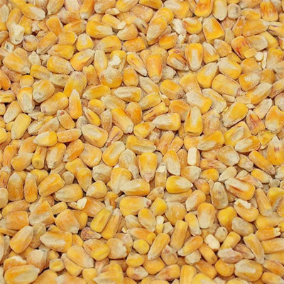 Copdock Mill Whole Maize Chicken Feed, 20kg - Premium Quality Yellow Maize