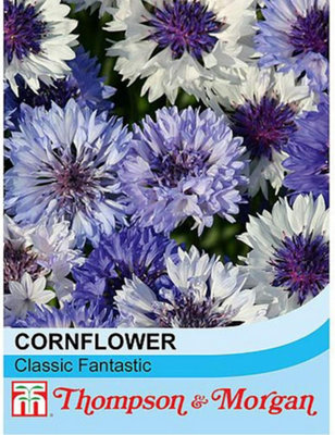 Cornflower Classic Fantastic 1 Packet (200 Seeds) | DIY at B&Q